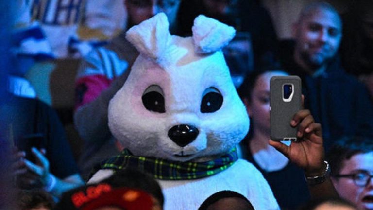 White Rabbits Spotted At WWE Extreme Rules, Signs Handed Out – TJR ...
