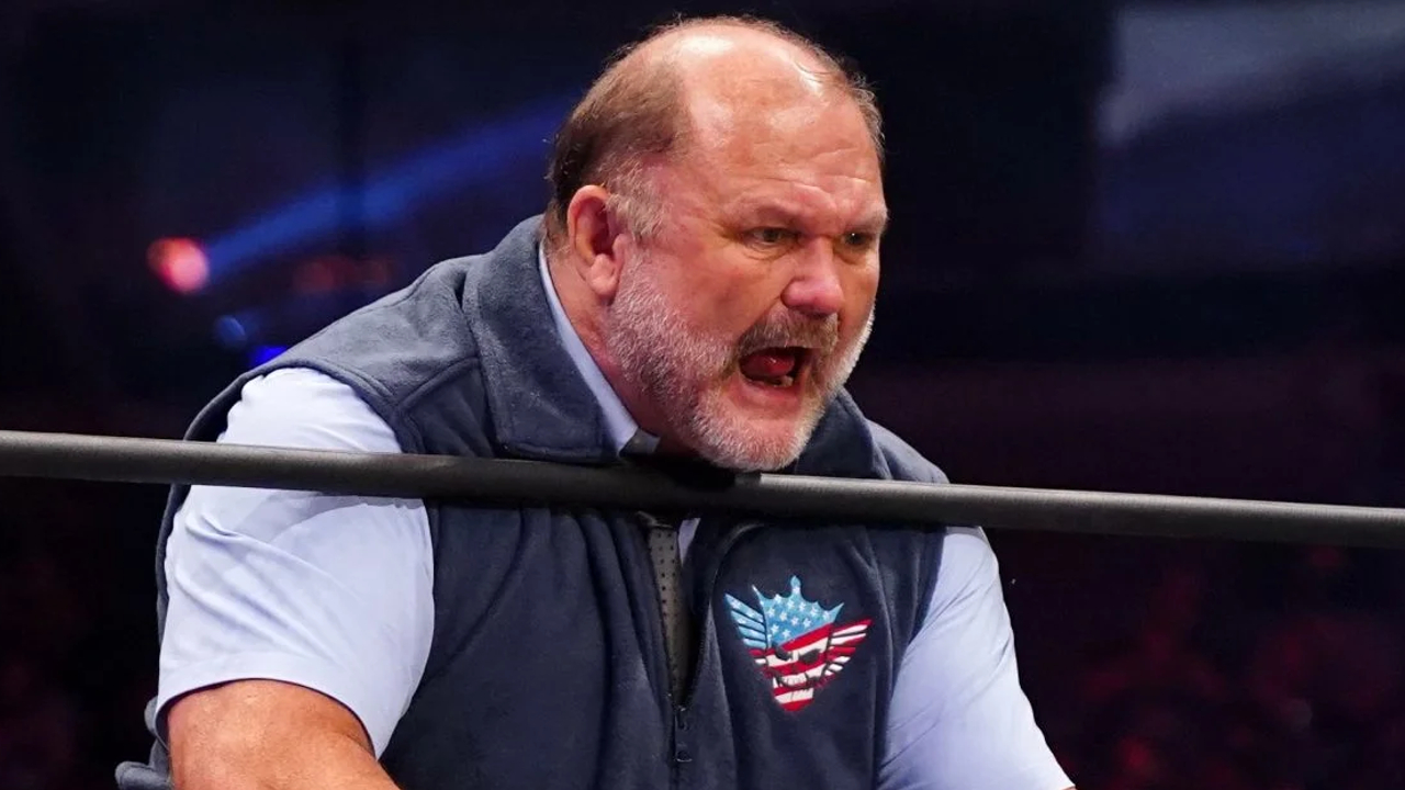 Brandi Rhodes Appears On WWE Raw – TJR Wrestling