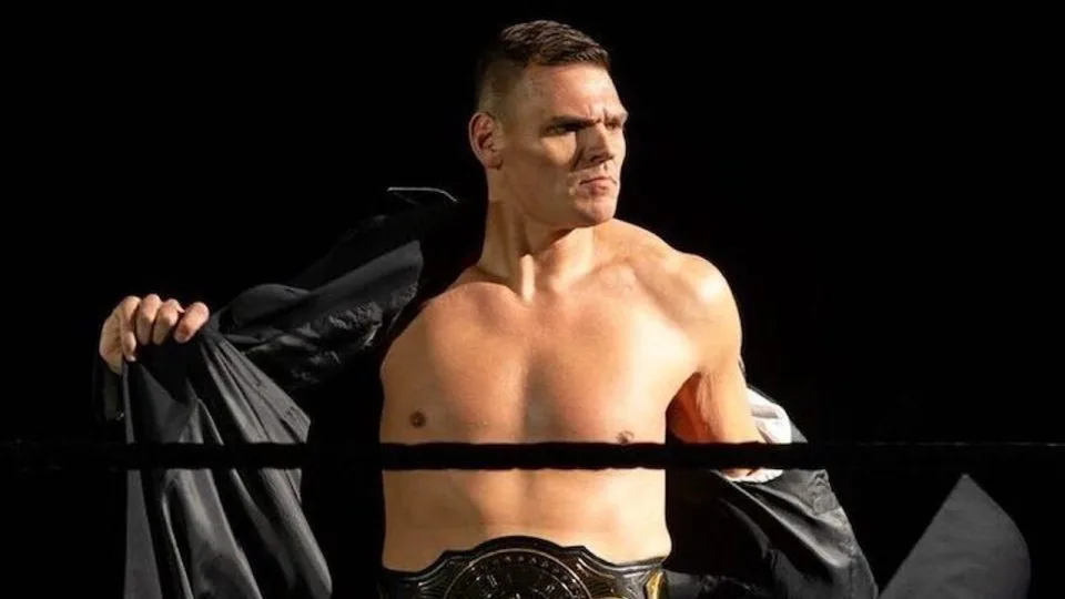 5 Longest WWE Intercontinental Title Reigns Of All Time – TJR Wrestling