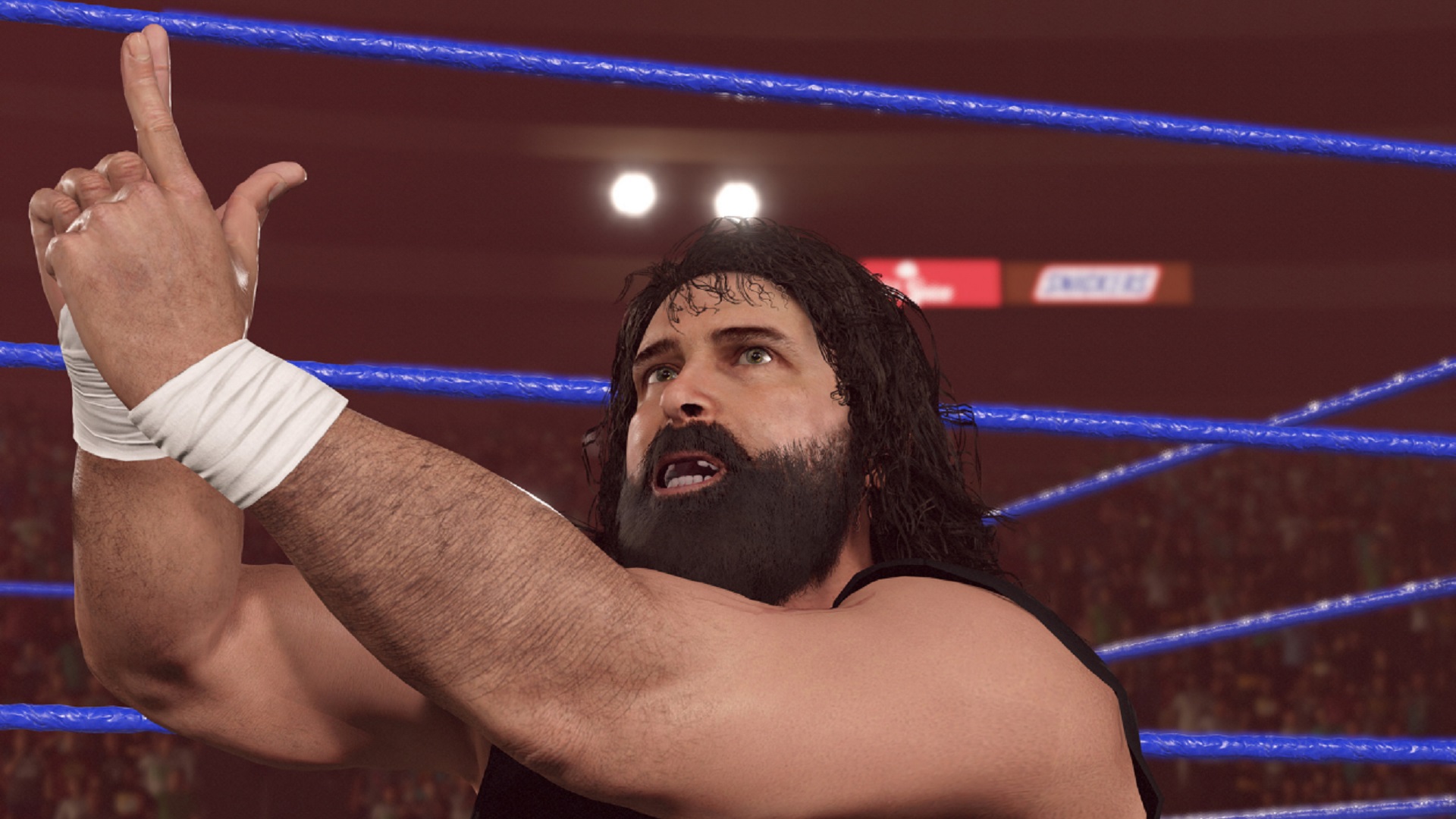 Mick Foley Professional Wrestling Mick Foley WWE Wrestling 8x10 Signed