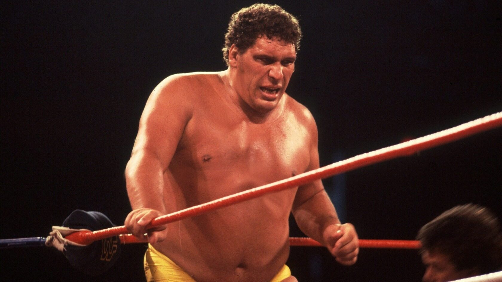 Andre The Giant's Legendary Champagne Hustle Revealed – TJR Wrestling