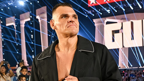 Chelsea Green Shares Topless Photo To Celebrate WWE Milestone – TJR Wrestling