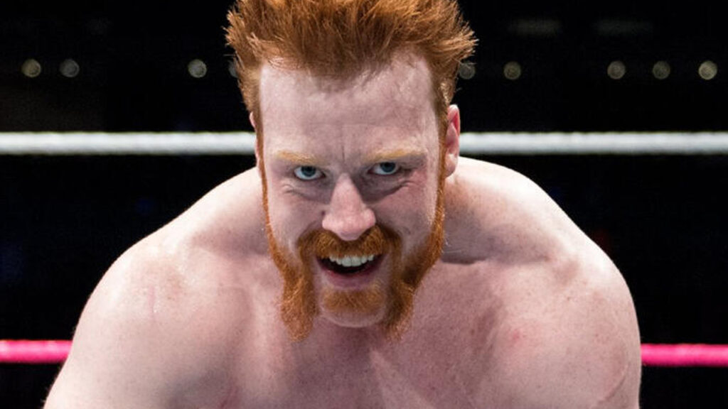 WWE Star Sheamus Signs New Contract – TJR Wrestling